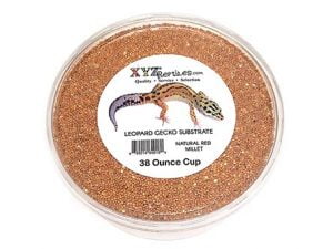 Leopard Gecko Substrate - Walmart.com