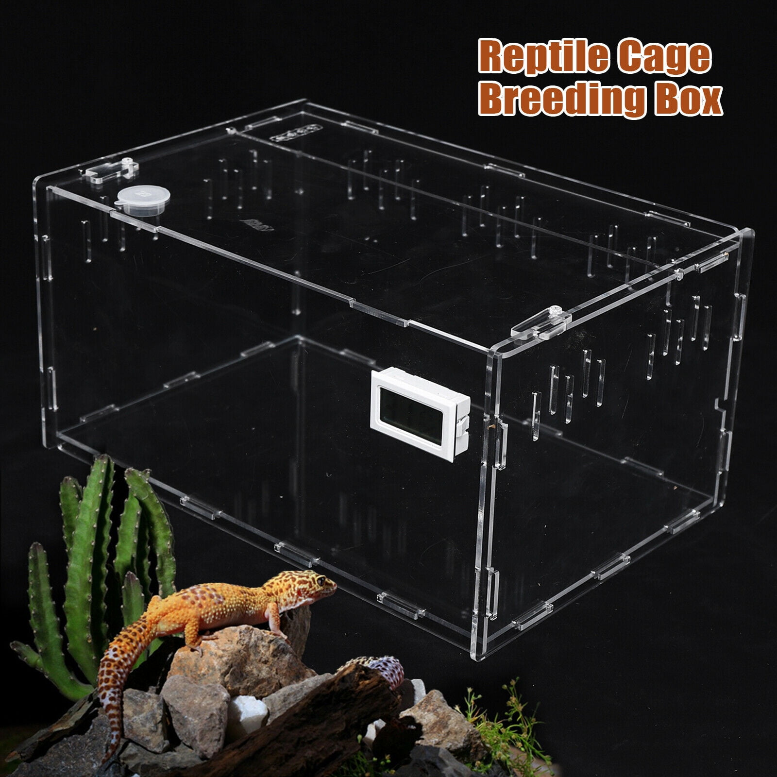 Wuzstar 1 Grid Acrylic Feeding Box Reptile Breeding Tank Insect Spider ...