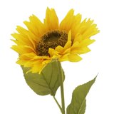 12 Pack: Gold Sunflower Stem by Ashland - Walmart.com