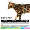 Cat Harness and Leash Set - H-Style No-Escape Pet Harness for Walking ...