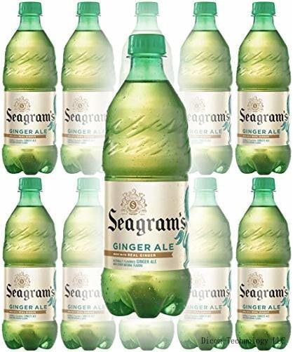 Ginger Ale, 20 Oz Bottle (Pack Of 10, Total Of 200 Oz) - Walmart.com