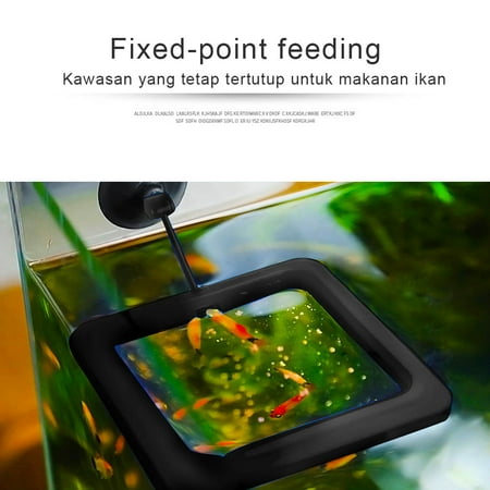 Square Shape Fish Food Feeder Suction Cup Aquarium Reduces Waste ...
