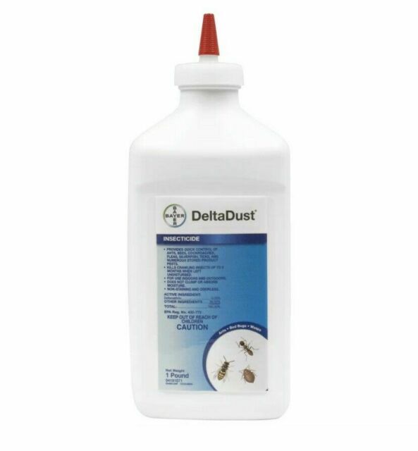 Bayer Delta Dust Insecticide- Waterproof Insecticide for Ants, Bees ...