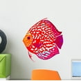 Red Leopard Discus Fish Wall Mural by Wallmonkeys Peel and Stick ...