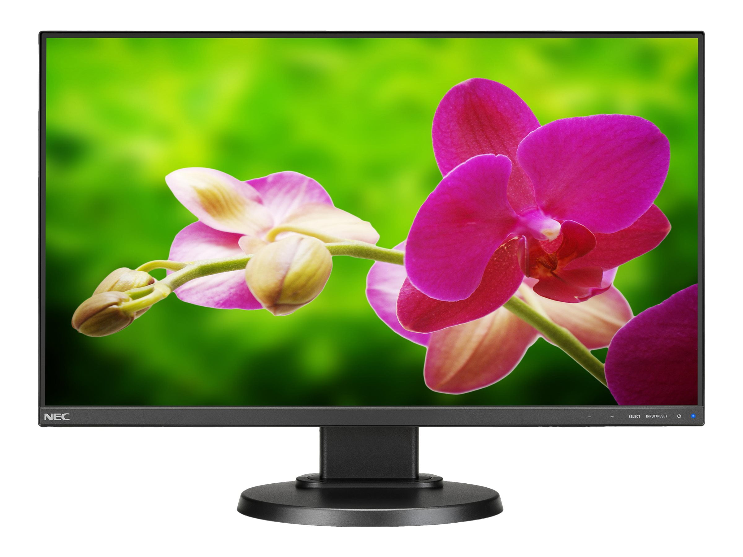 NEC MultiSync E241N-BK - LED monitor - 24" (23.8" viewable) - 1920 x ...