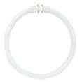 Hygrade Satco S8155 22 Watt T5 Circline Fluorescent 3000K Warm White 82 ...