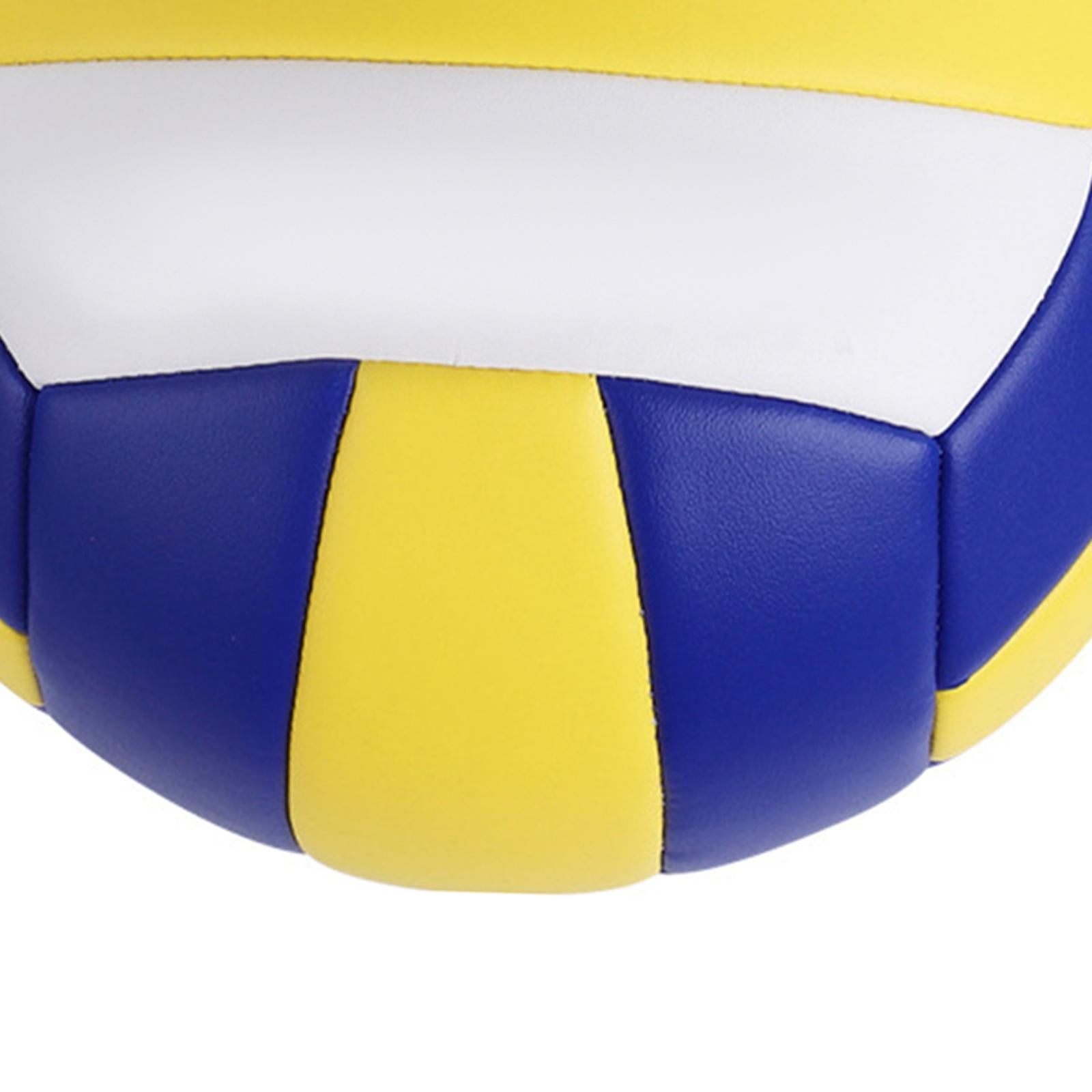 Professional PU Leather Indoor/Outdoor Volleyball with Pump - Blue ...