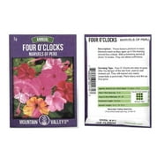 Burpee Trellis & Fence Garden Starter Garden Flower Seed Collection, 1 ...