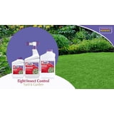 Bonide Eight Insect Spray Pint - Walmart.com