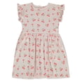 Buttons & Stitches Baby Girls' 2-Pack Dresses Color: pink Size: 12 ...