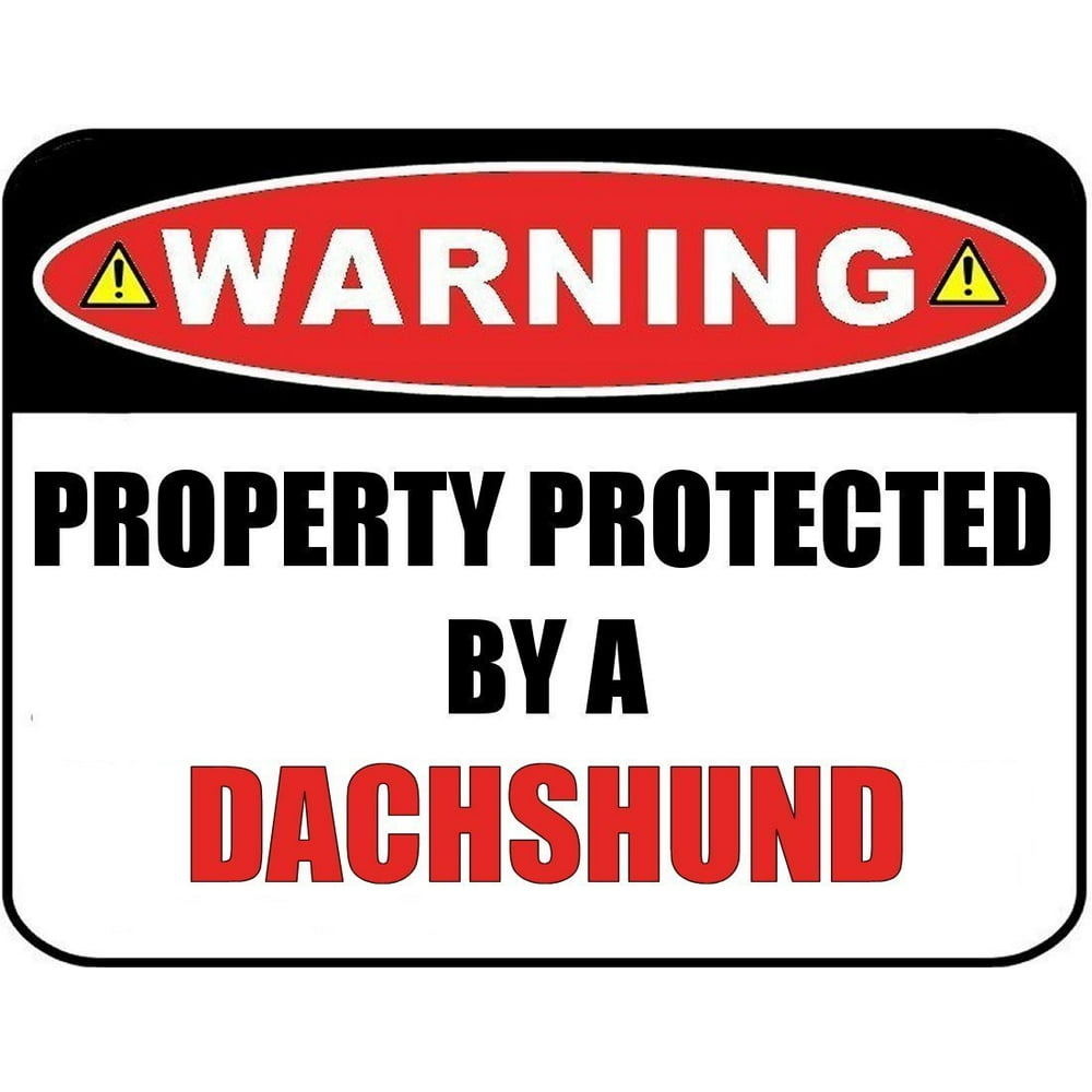 Warning Property Protected by a Dachshund 9 inch x 11.5 inch Laminated ...