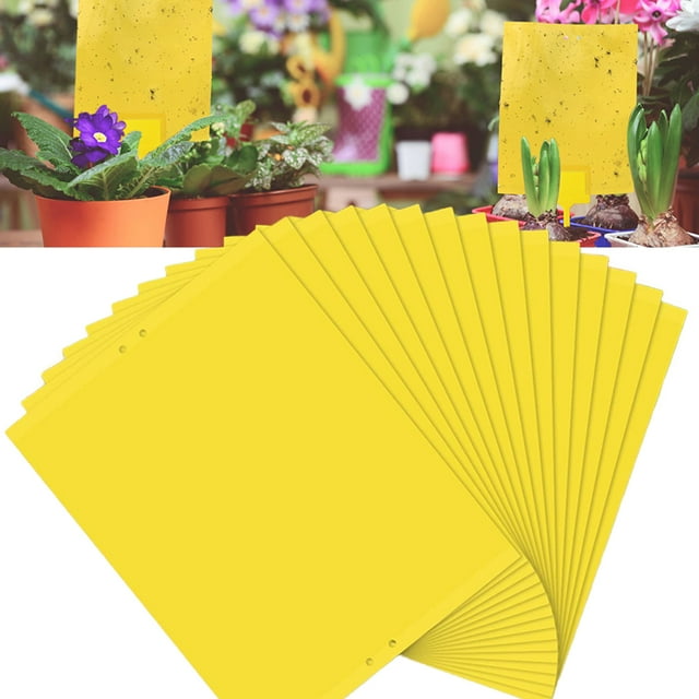 MLFU 5-Sheet Sticky Traps, Sticky Traps for Plants, Fungus Gnat Sticky ...