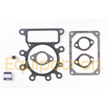 Briggs and Stratton 492024 Carburetor Overhaul Kit - Walmart.com