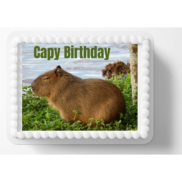 Capybara Capy Birthday Edible Image Edible Cake Topper Frosting Sheet ...
