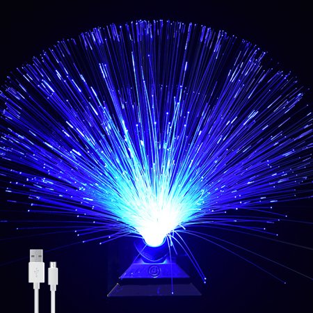 LED Fiber Optic Lamp Color Changing Fiber Optic Light USB Rechargeable ...