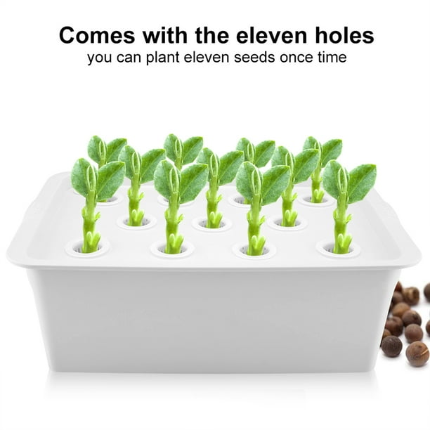 Hydroponic System, 11 Holes Hydroponic System Growing Box Deep Water ...