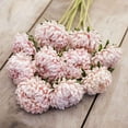 Eden Brothers Aster Seeds (Peony Duchess) - Apricot - Walmart.com