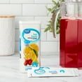 Great Value Sugar-Free Fruit Punch Drink Mix Powder, 1.9 oz, 6 Count ...