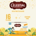 Celestial Seasonings Wellness Good Vibes Lemon Mint Herbal Tea Bags (16 ...