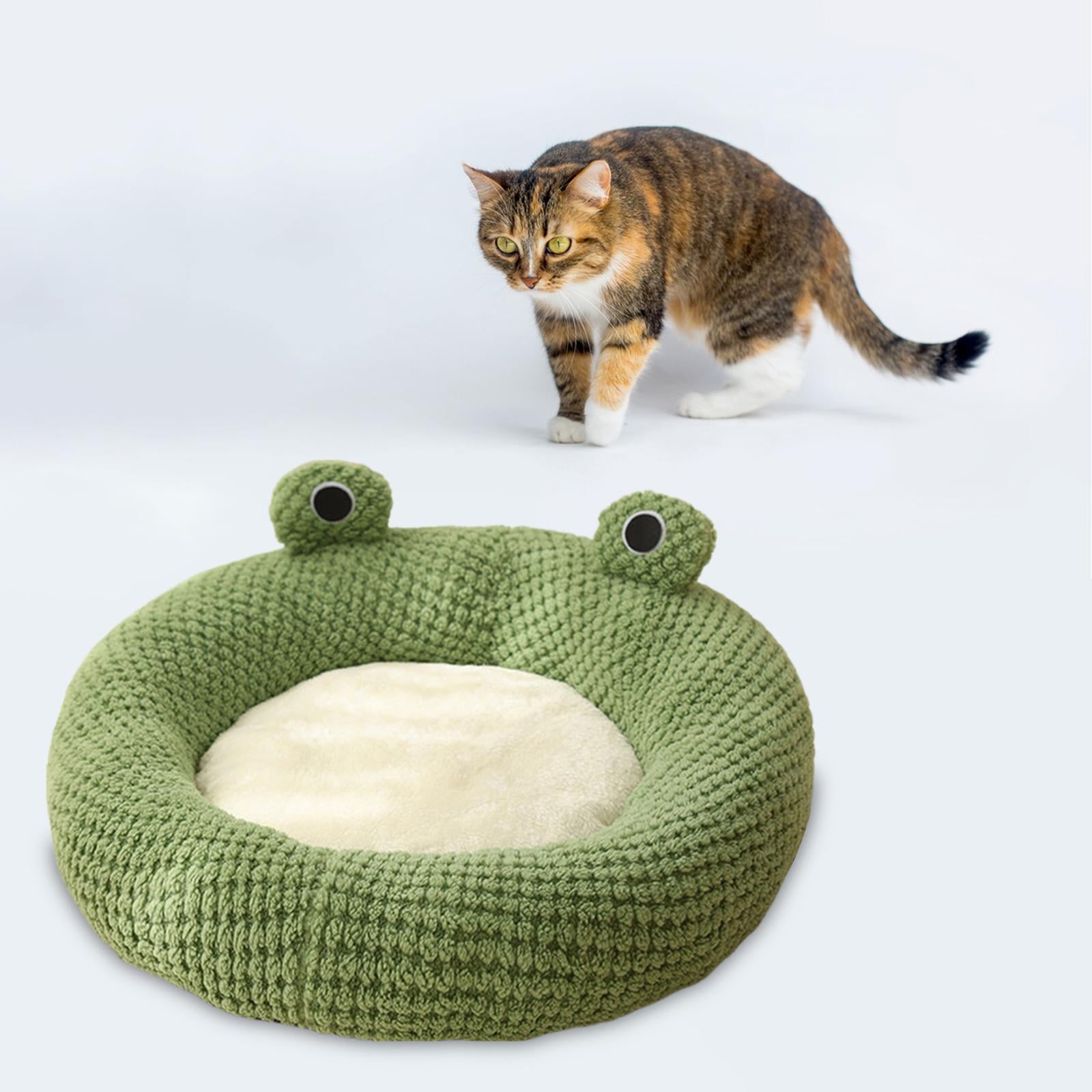 Cama para Gatos con Forma de Rana de Dibujos Animados, Cama para Gatos ...