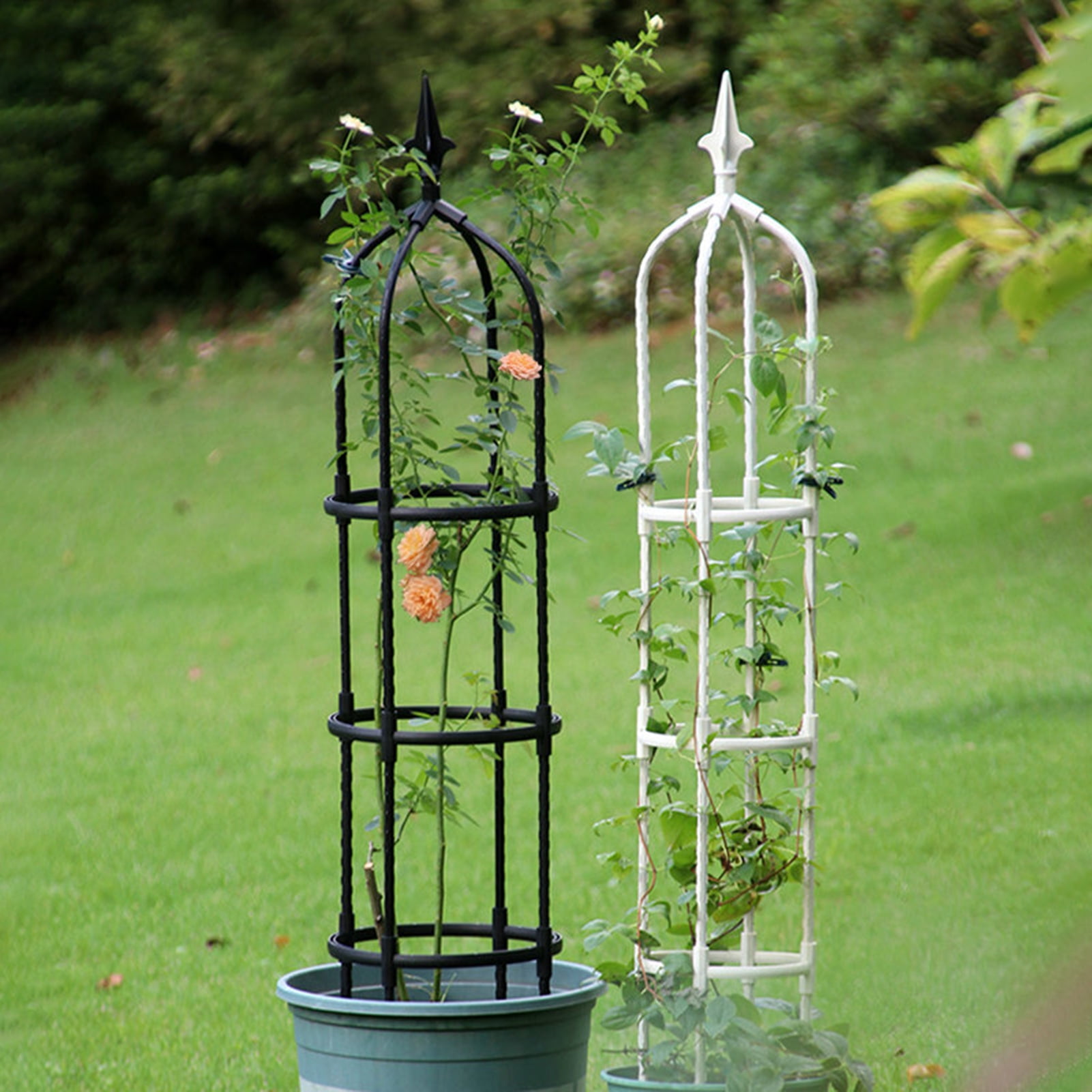 Honrane Plant Climbing Frame - Rustproof Plant Trellis, Stable and Easy ...