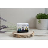 Mainstays Essential Oil Variety Pack 3x15mL including Peppermint ...