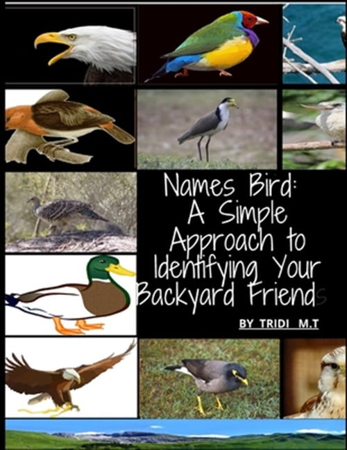 Pre-Owned Names Bird: A Simple Approach to Identifying Your Backyard ...