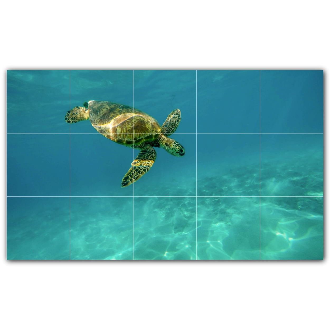 Picture-Tiles.com: Turtle Ceramic Tile Wall Mural WAL501056-53XL. 60"W ...