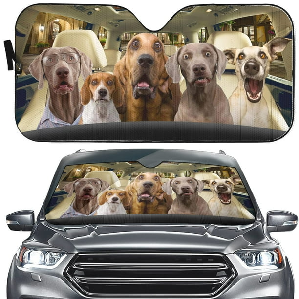 Dog Car Window Guard