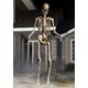 Animated 8 Foot Giant Skeleton Decoration - Walmart.com