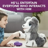 furReal Ricky, the Trick-Lovin' Interactive Plush Pet Toy - Walmart.com
