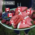 200 Pieces Canada Flag Toothpicks, Small Food Cup Cake Topper for ...