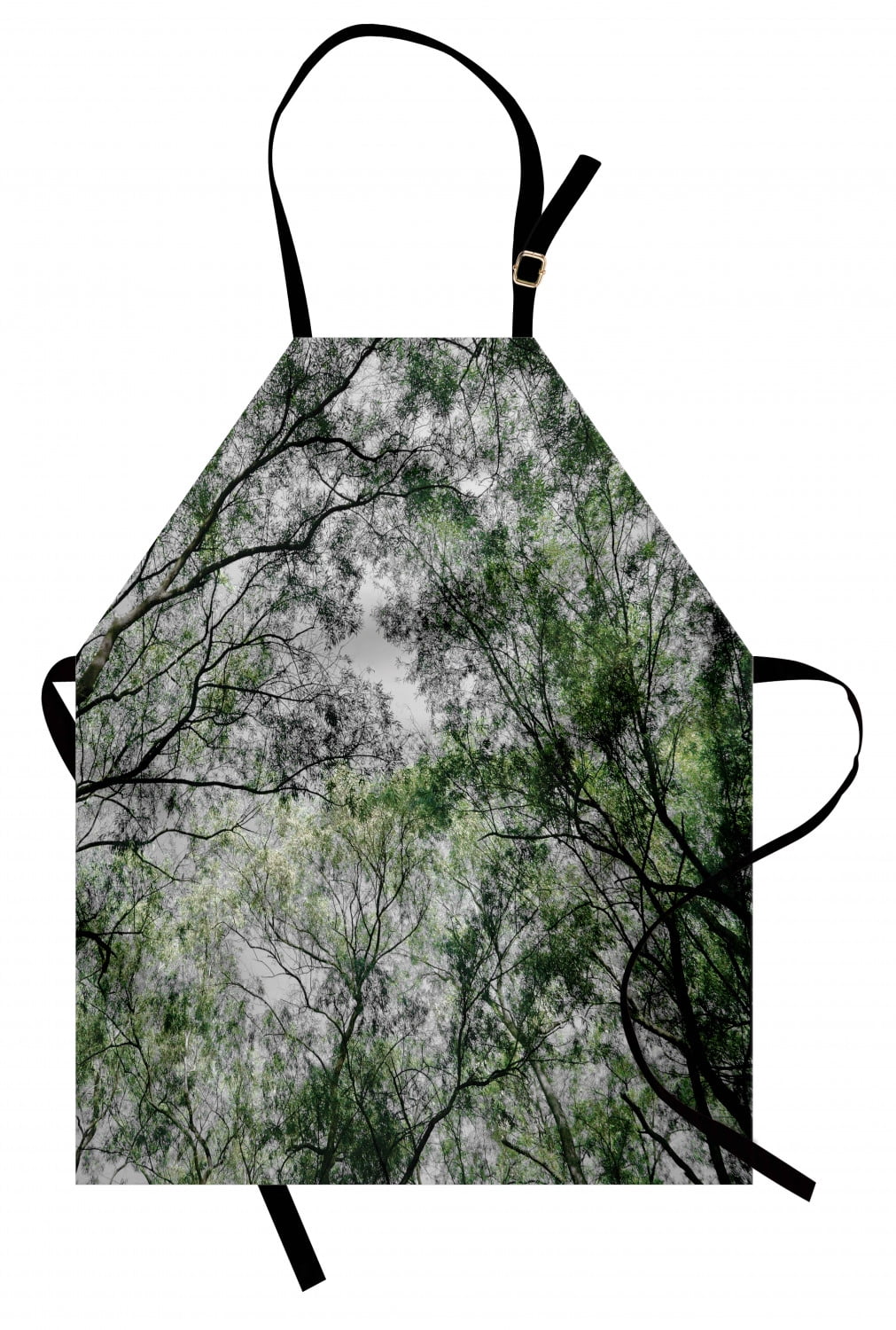 Nature Apron Tree Branch in Spring Season Fairy Jungle Growth Nature ...