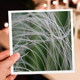 3drose, Rainforest Palm Tree Leaf Close Up, 6 Greeting Cards with ...