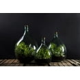 Esschert Design USA AGG48 Glass Terrarium Bottle with Tools, Green ...