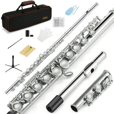 Nickel Plated C Closed Hole Concert Band Flute Silver - Walmart.com