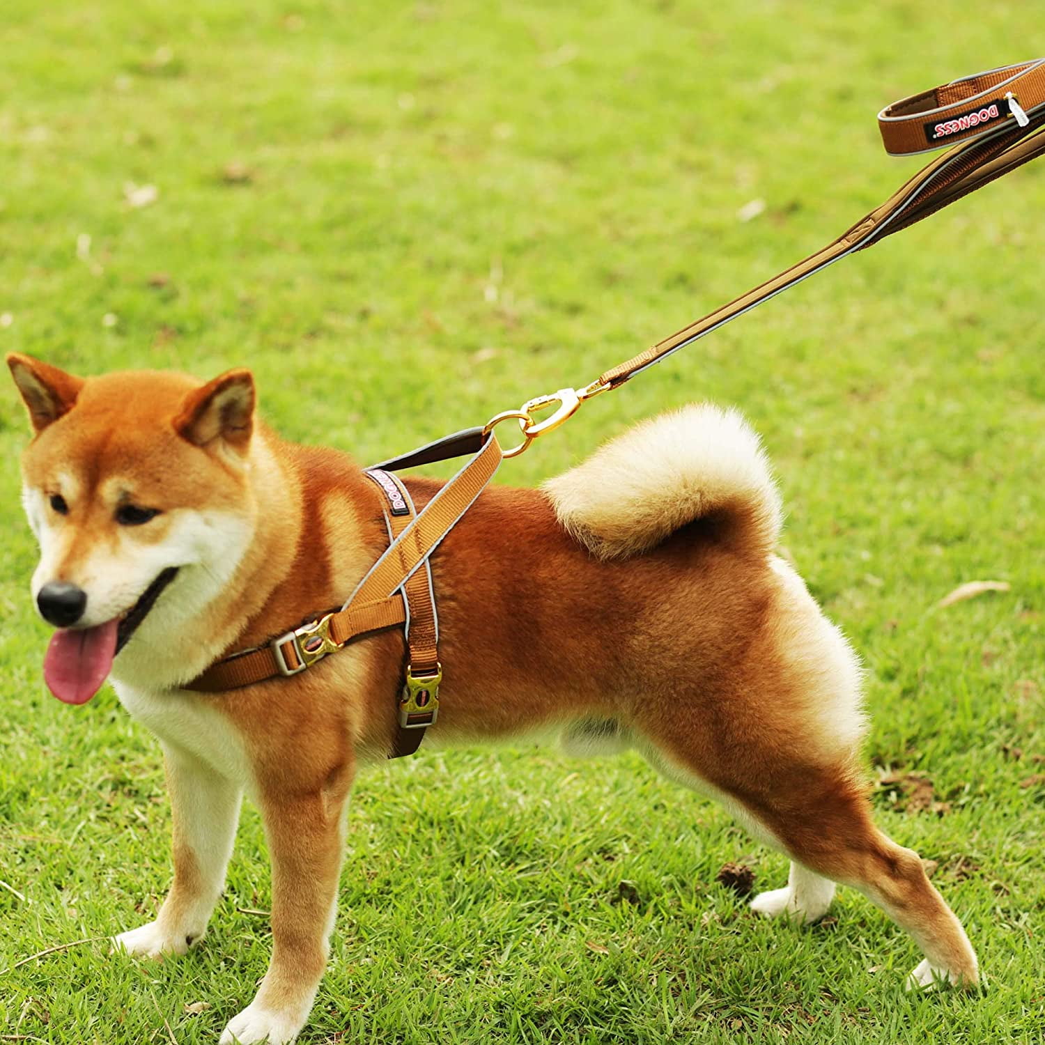 DOGNESS Classic Double Handle Dog Leash, Heavy Duty Soft Padded ...