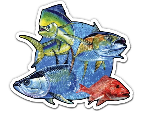 Saltwater Fish - 12" Vinyl Sticker Waterproof Decal - Walmart.com