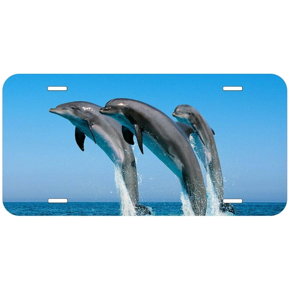 Miami Dolphins License Plate