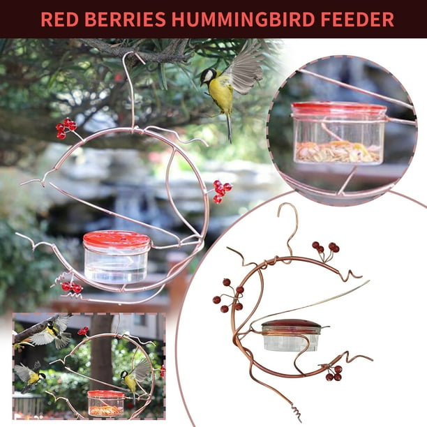 Awdenio Courtyard Bird Feeder,Red Berries Hummingbird Feeder - Walmart.ca