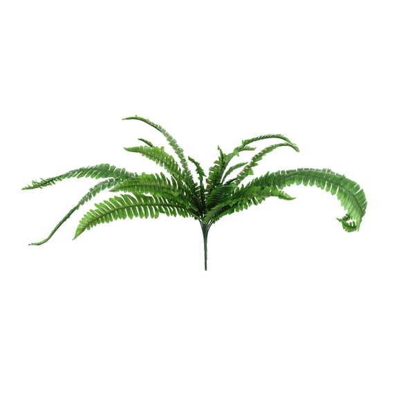 fern | Walmart Canada