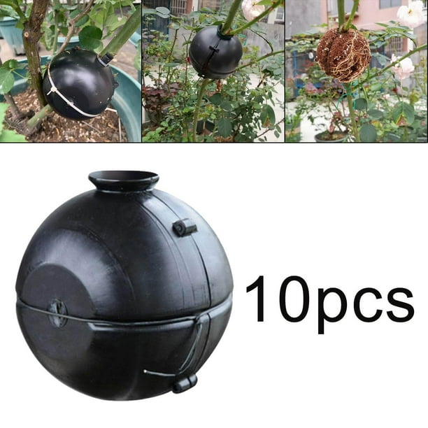 ing Growing Box ing Starter for Cuttings Garden Plant Propagation Ball ...