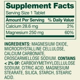 Spring Valley Magnesium Dietary Supplement Tablets for Bone and Muscle ...