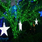 Kringle Traditions 5mm LED Green Christmas Lights, Commercial Balled ...