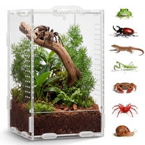 Magnetic Acrylic Jumping Spider Enclosure with Mushroom House, Easy ...