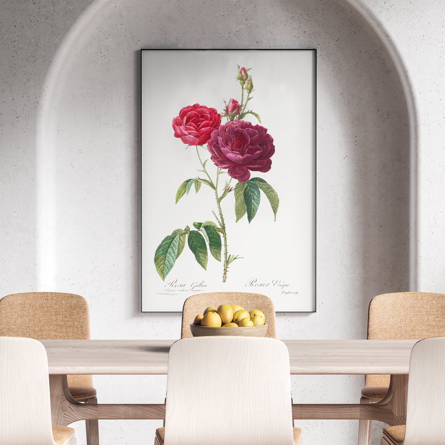 Purple French Rose - 1817–1824 | Pierre-Joseph Redouté | Premium Fine ...