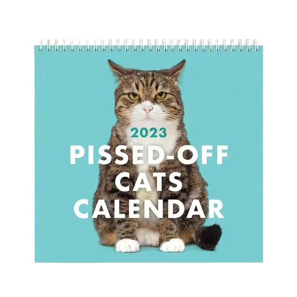 Pissed-Off Cats Calendar Angry Cat Calendar Funny Cat Cross-Border 2023 ...