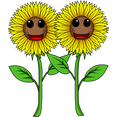 CafePress - Sunflowers Sunflower Natural Garden Hobby Gardener - 15 oz ...