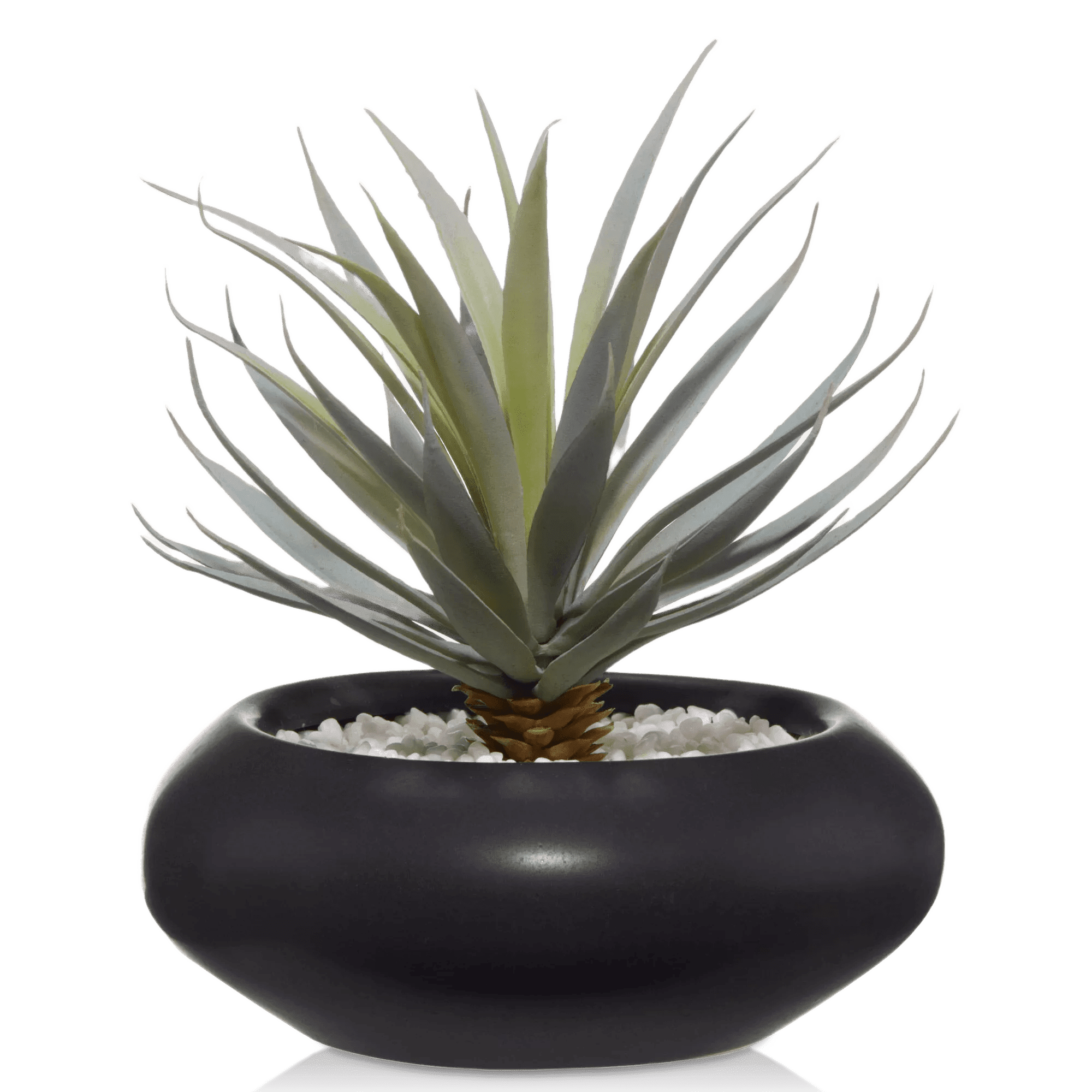 Click here for Bouclair Black Ceramic Potted Greenery 6.75 X 8 In... prices