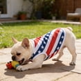 4Th of July Dog, Dog Clothing, Red Flag, Paw Print, Flag Pattern ...